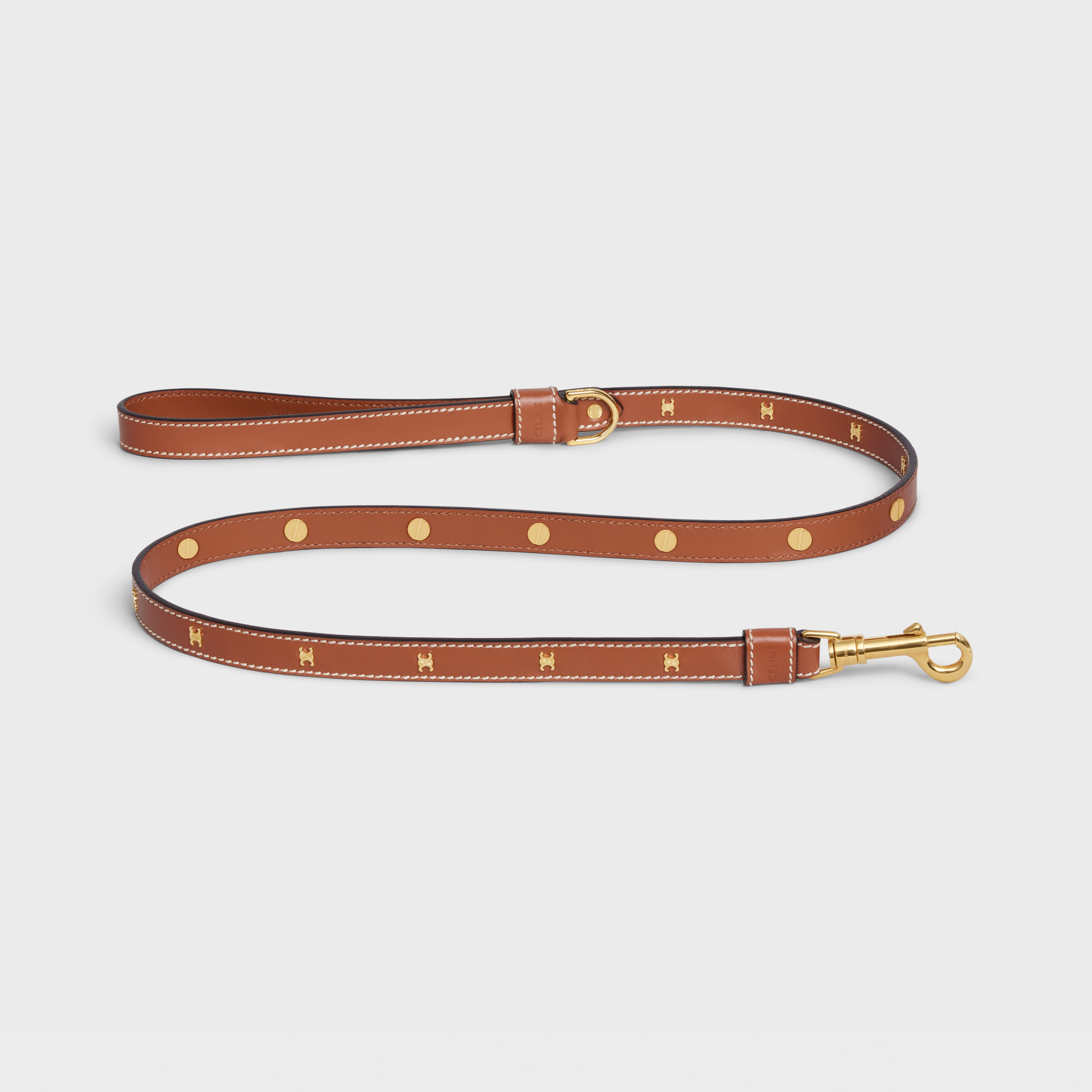 Thin Dog Leash in Smooth Calfskin with Studs Triomphe - TAN | CELINE