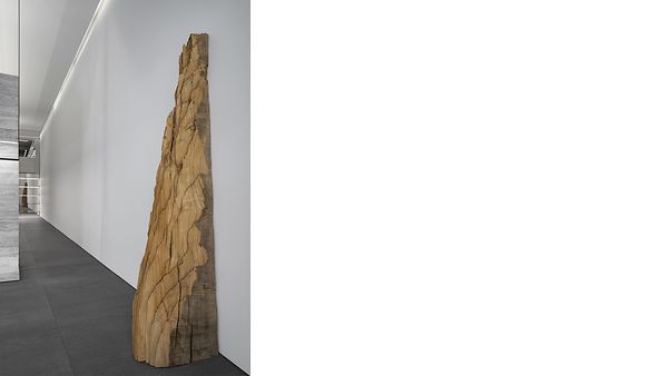 DAVID NASH